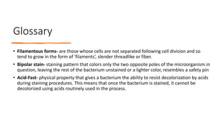 Infectious Diseases Plate Rounds 4-24-24.pptx