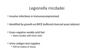 Infectious Diseases Plate Rounds 7-24-24.pptx