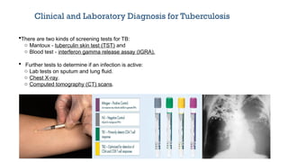 Infectious Diseases Plate Rounds 8-7.pptx
