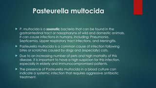 Infectious Diseases Plate Rounds 9-25-24.pptx