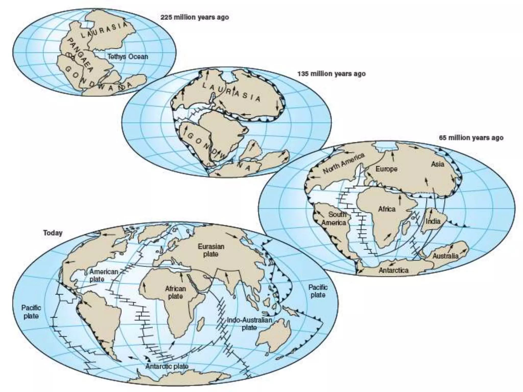 Plates and list of all major and minor plates in the world | PPTX