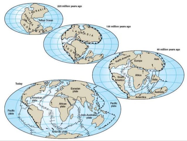 Plates and list of all major and minor plates in the world