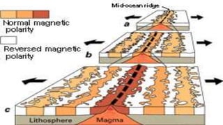 Plate tectonic and paleomagnetism | PPTX
