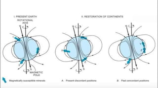 Paleomagnetism Plate Tectonics