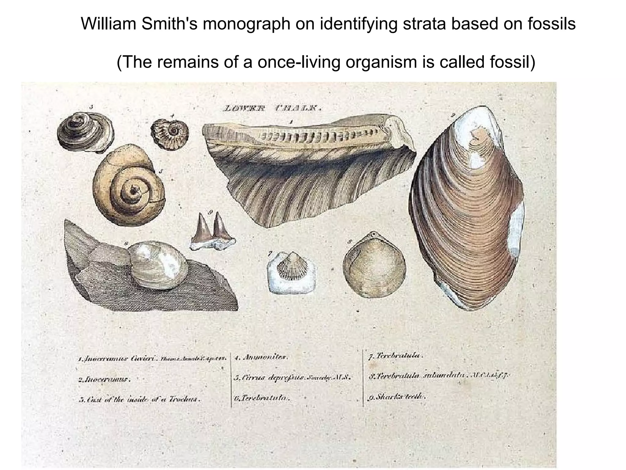Plate tectonic geologic time scale-Geomorhology Chapter | PPT
