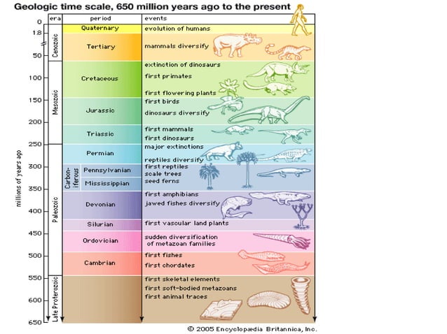 Plate tectonic geologic time scale-Geomorhology Chapter | PPT