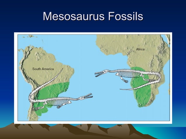Plate Tec Evidence | PPT