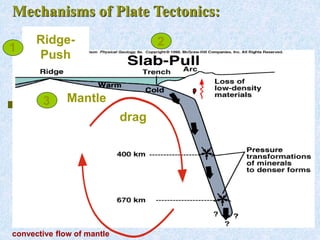 Plate tectonic | PPTX