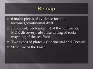 Tectonics: Plate Tectonics | PPTX | Geology | Science