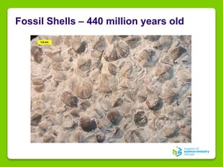Plate tectonics | PPT