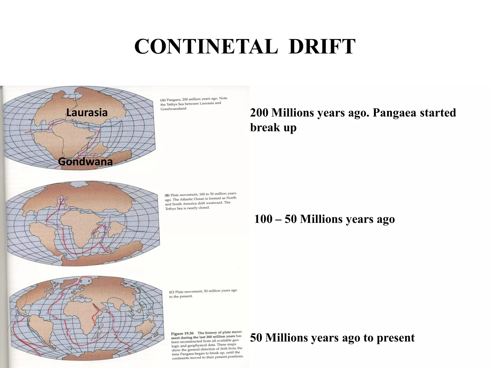 Plate tectonics | PDF