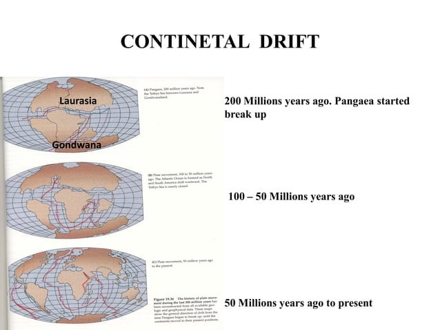 Plate tectonics | PDF | Geology | Science