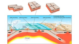 Plate tectonics Introduction | PPTX