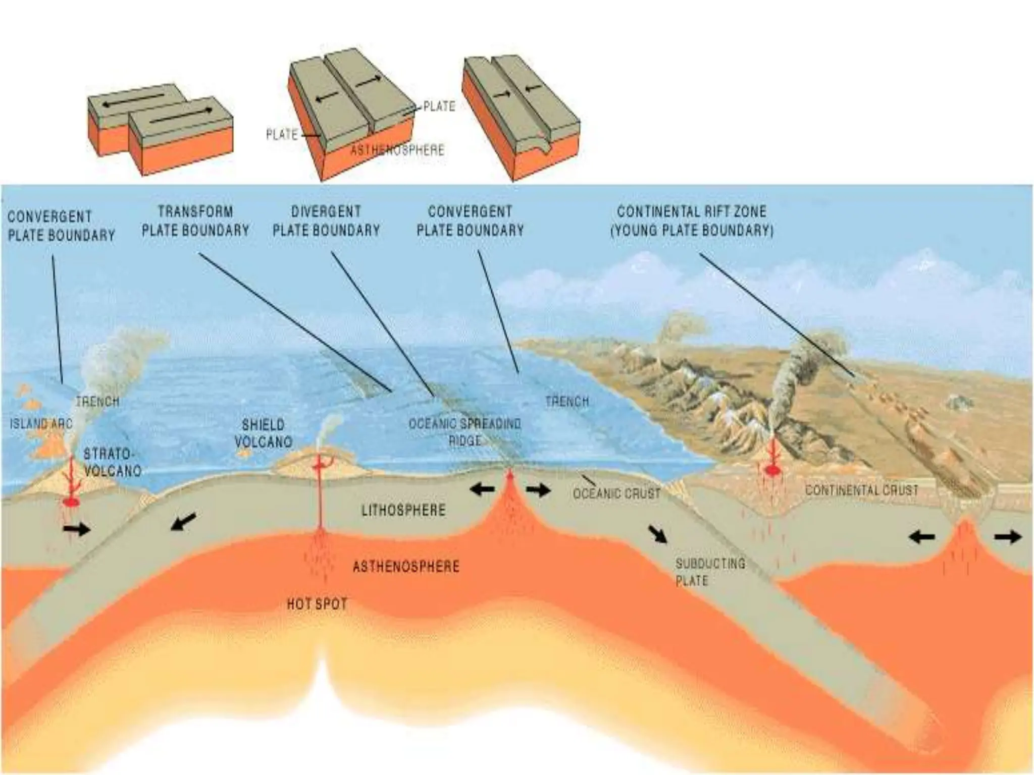 PLATE TECTONICS.ppt..................... | PPT | Geography | Science