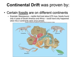 PLATE TECTONICS.ppt..................... | PPT
