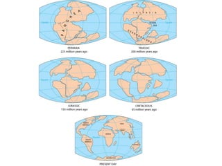 PLATE TECTONICS.ppt..................... | PPT