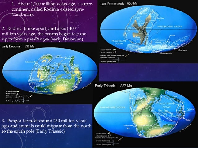 Plate Tectonics