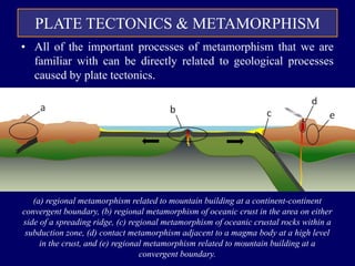 Plate_Tectonics & Metamorphism.ppt