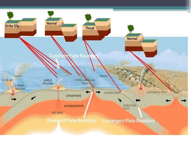 IGCSE Plate tectonics and Weathering | PPT | Geography | Science