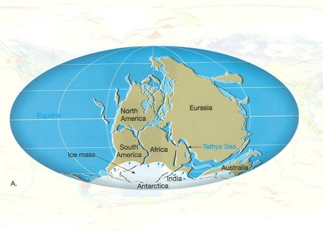 Plate tectonics unit | PPT