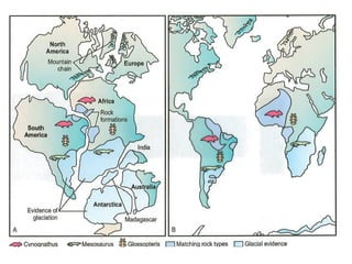 Plate tectonics unit | PPT