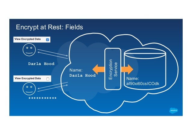 Salesforce Platform Encryption Developer Strategy