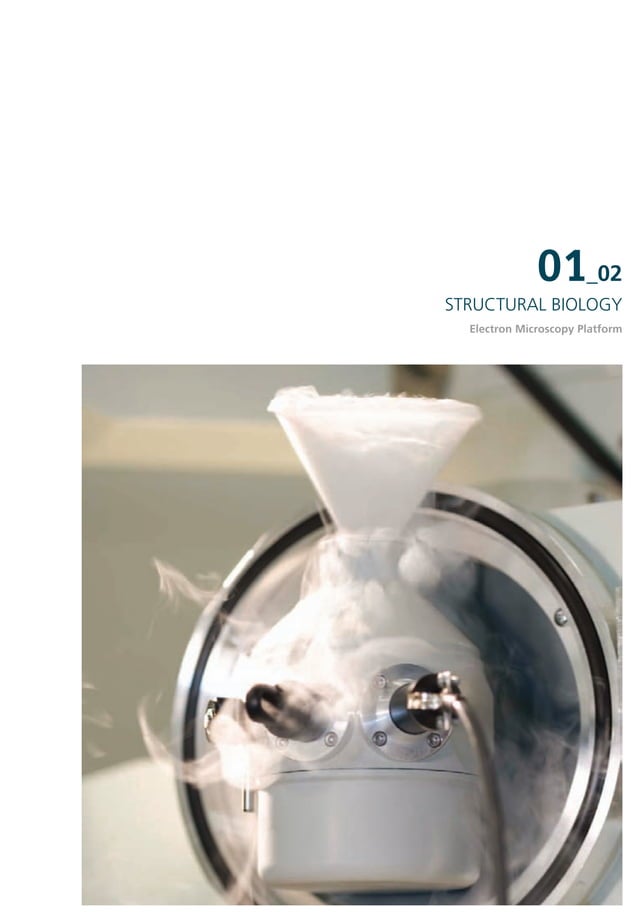 CIC bioGUNE Technology Platforms | PDF