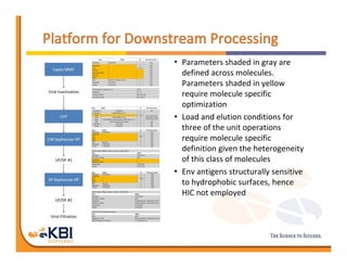 Platforms for mAb Commercialization | PDF