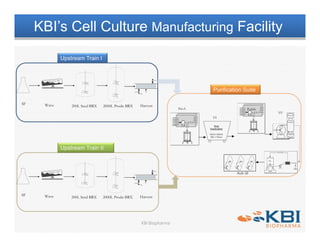 Platforms for mAb Commercialization | PDF