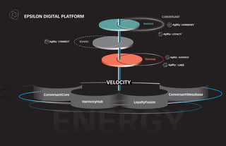 Platform Diagram variations | PPT