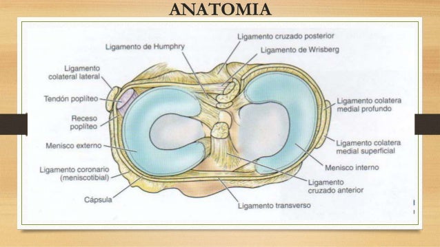 fractura de Platillo tibial