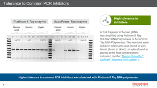 Why you would want a powerful hot-start DNA polymerase for your PCR | PDF