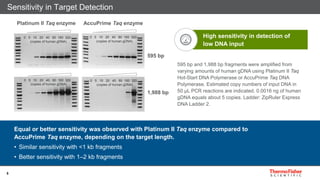 Why you would want a powerful hot-start DNA polymerase for your PCR | PDF