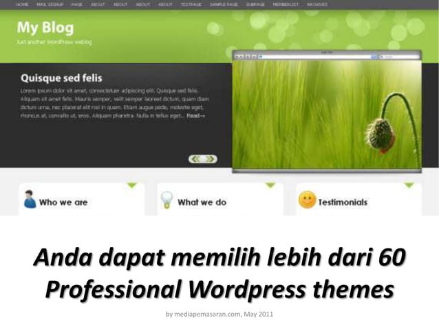 Our Platinum packages for web design | PPT