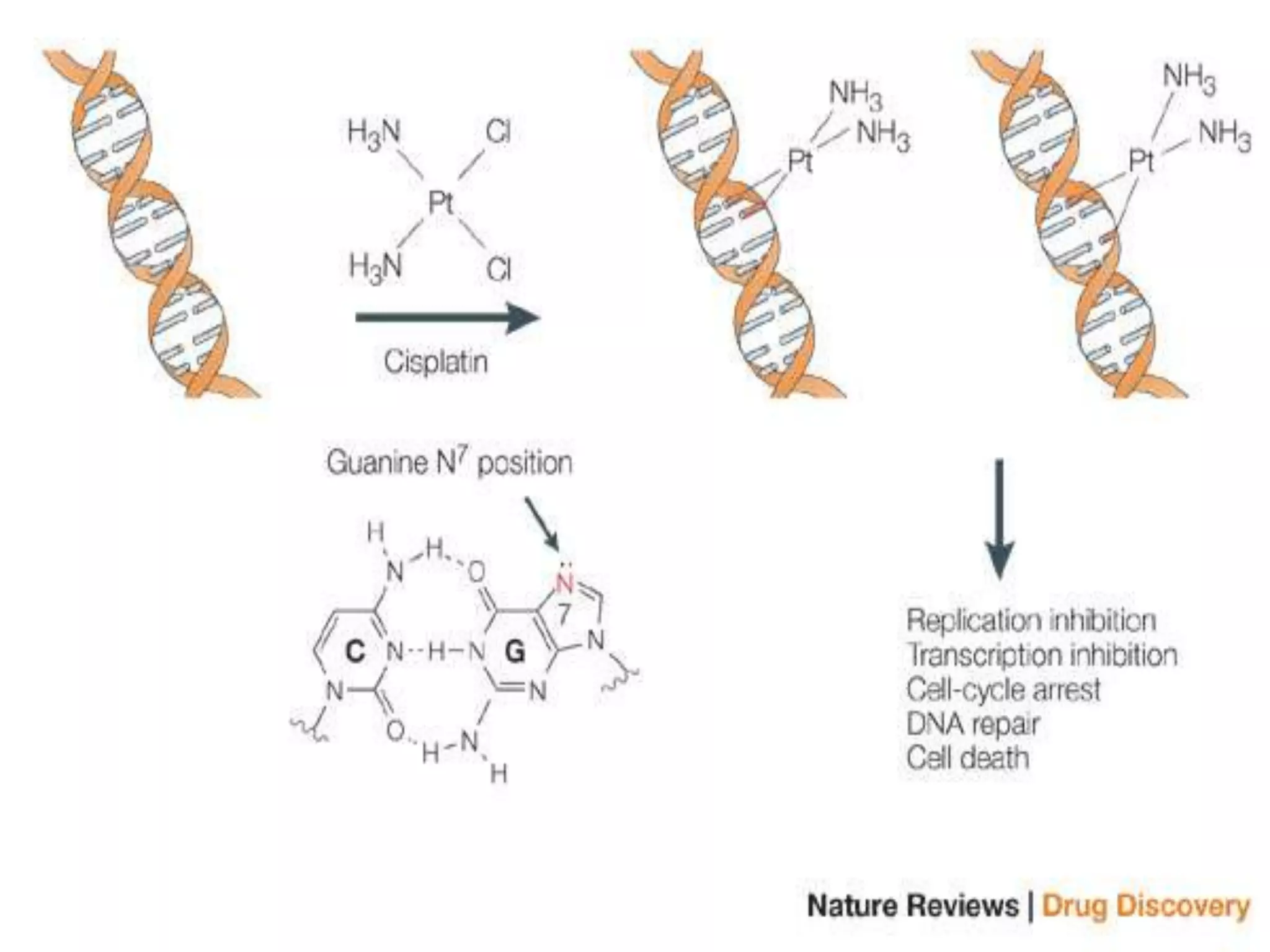 Platinum salts presentation | PPTX