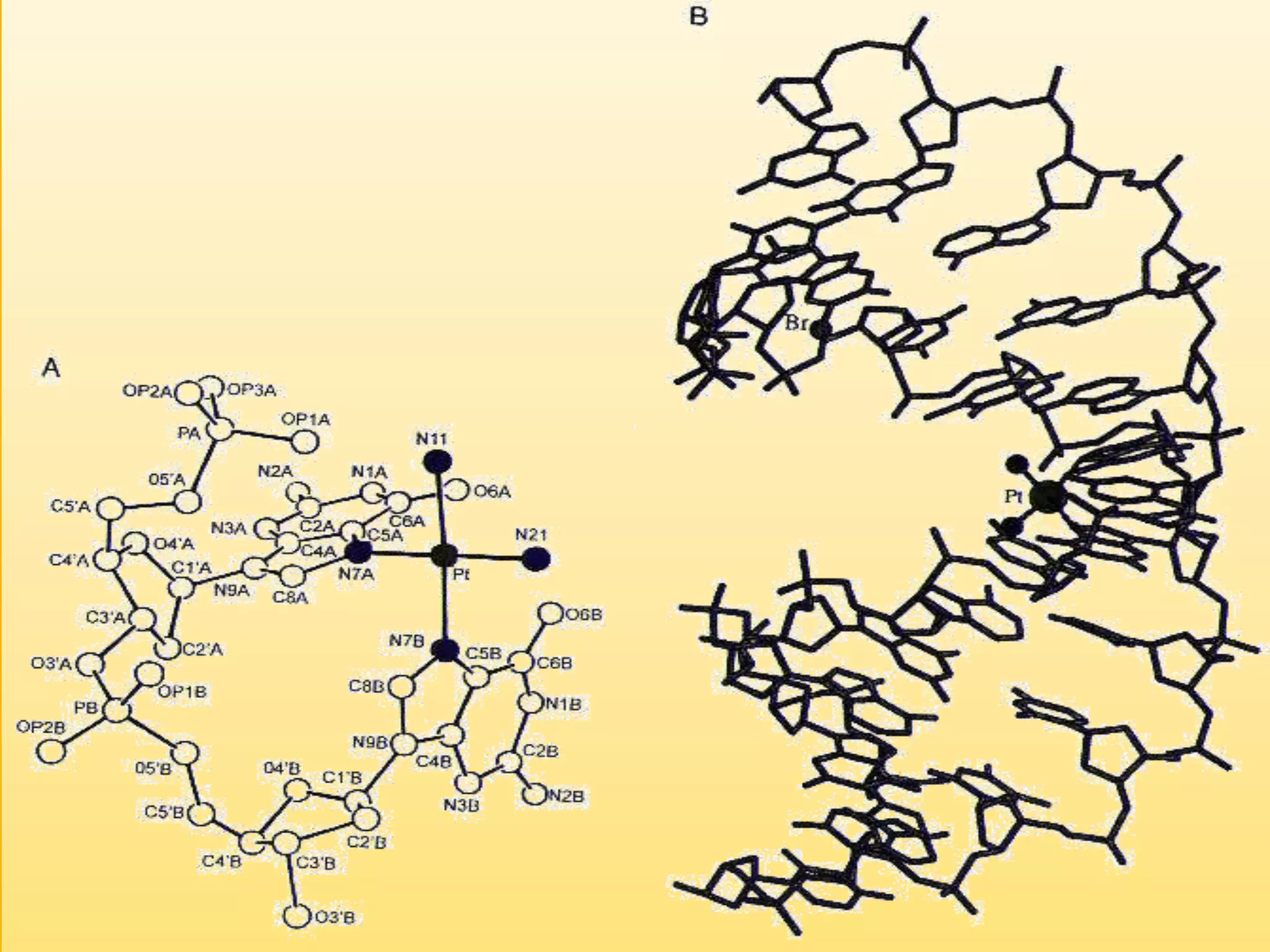 Platinum salts presentation | PPTX