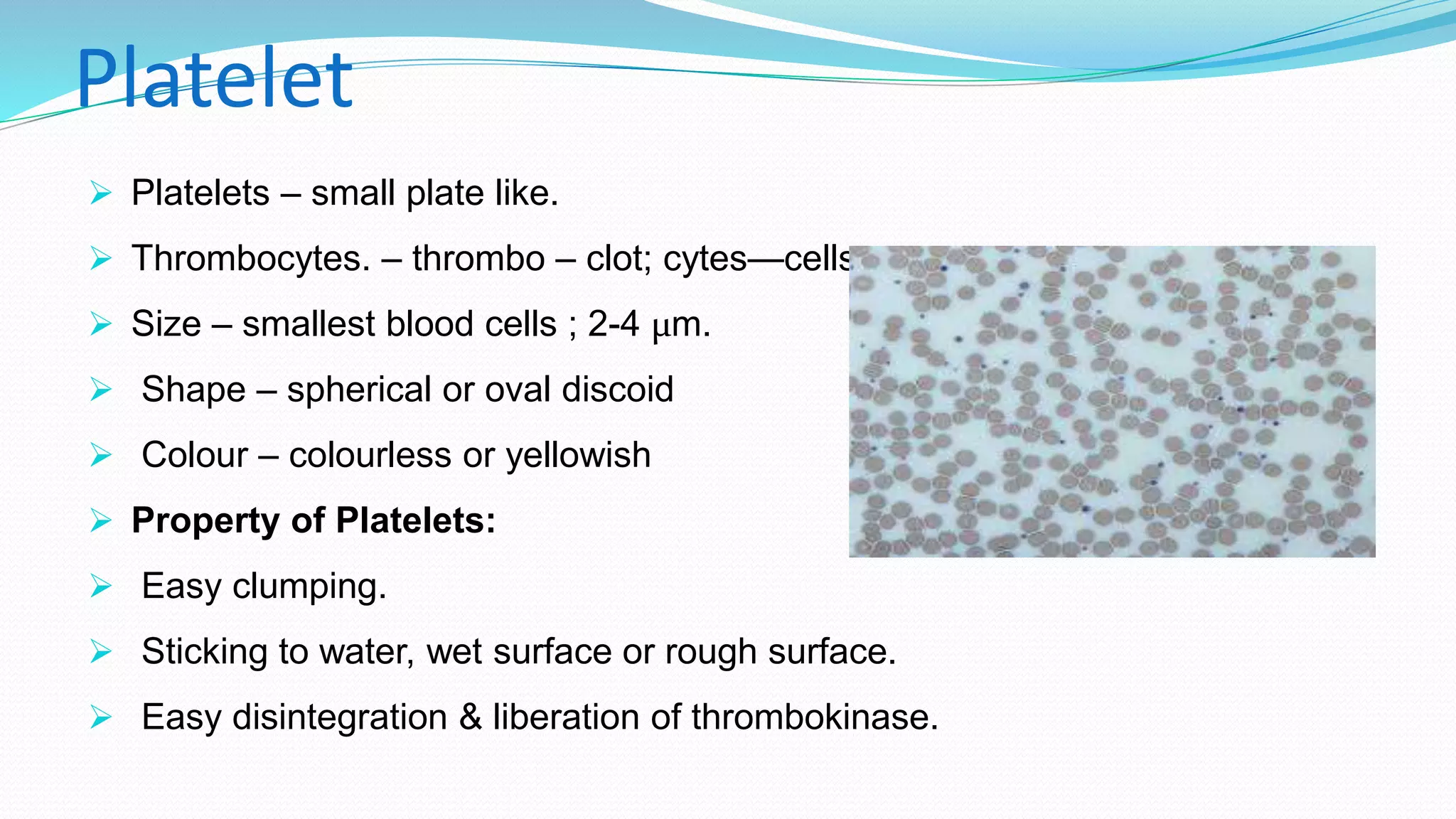 Platelet | PPTX
