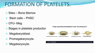 Platelet | PPTX