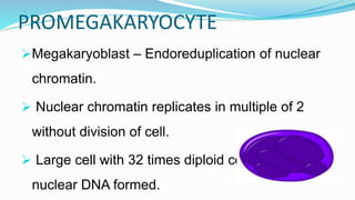 Platelet | PPTX