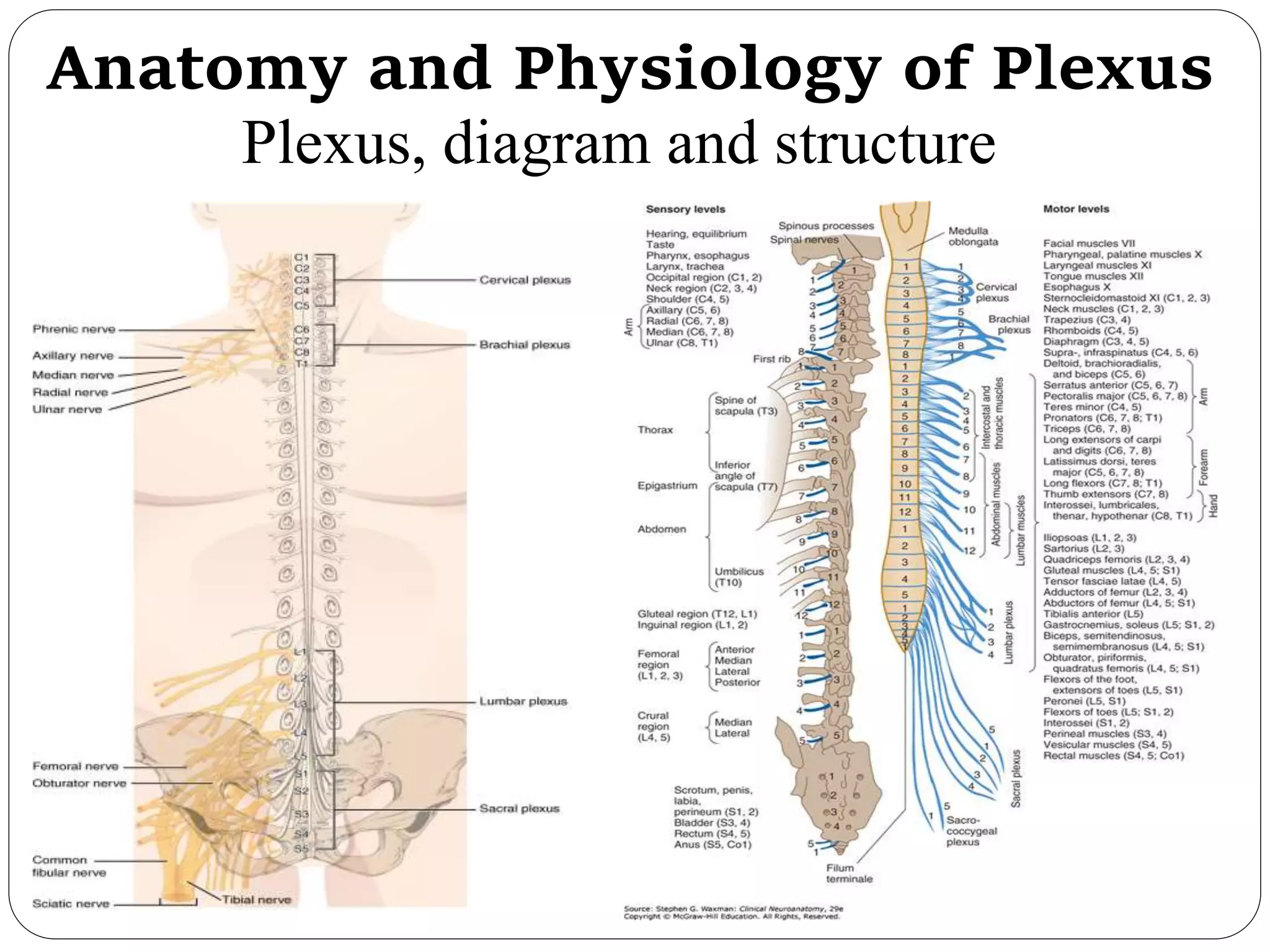 Platon_H_Dx Presentation.pptx