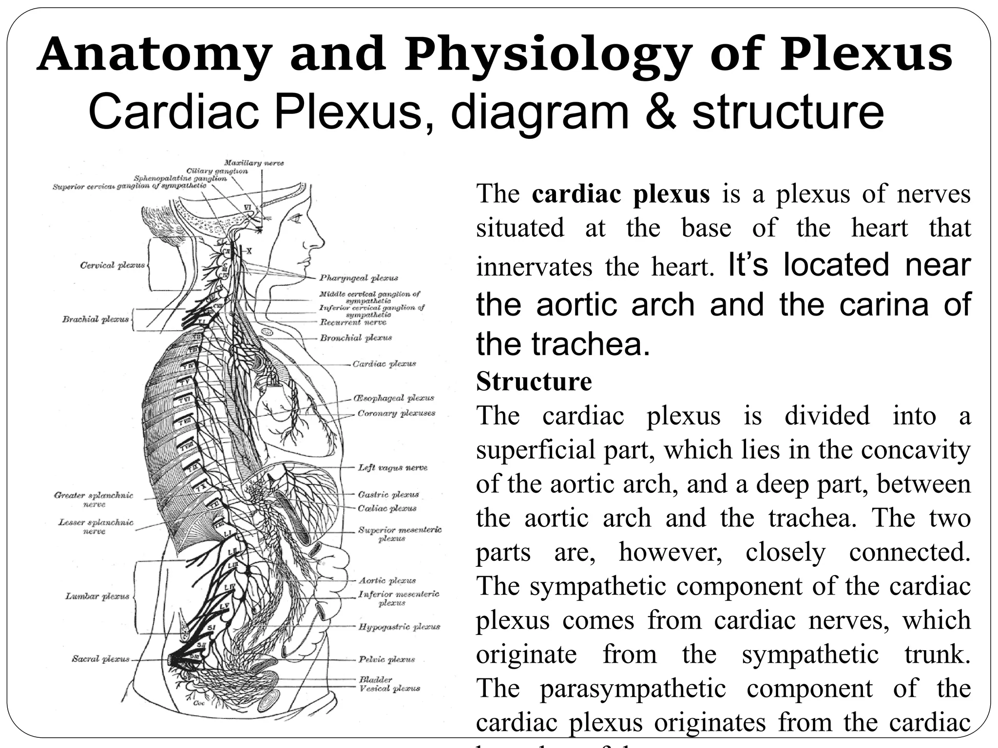 Platon_H_Dx Presentation.pptx