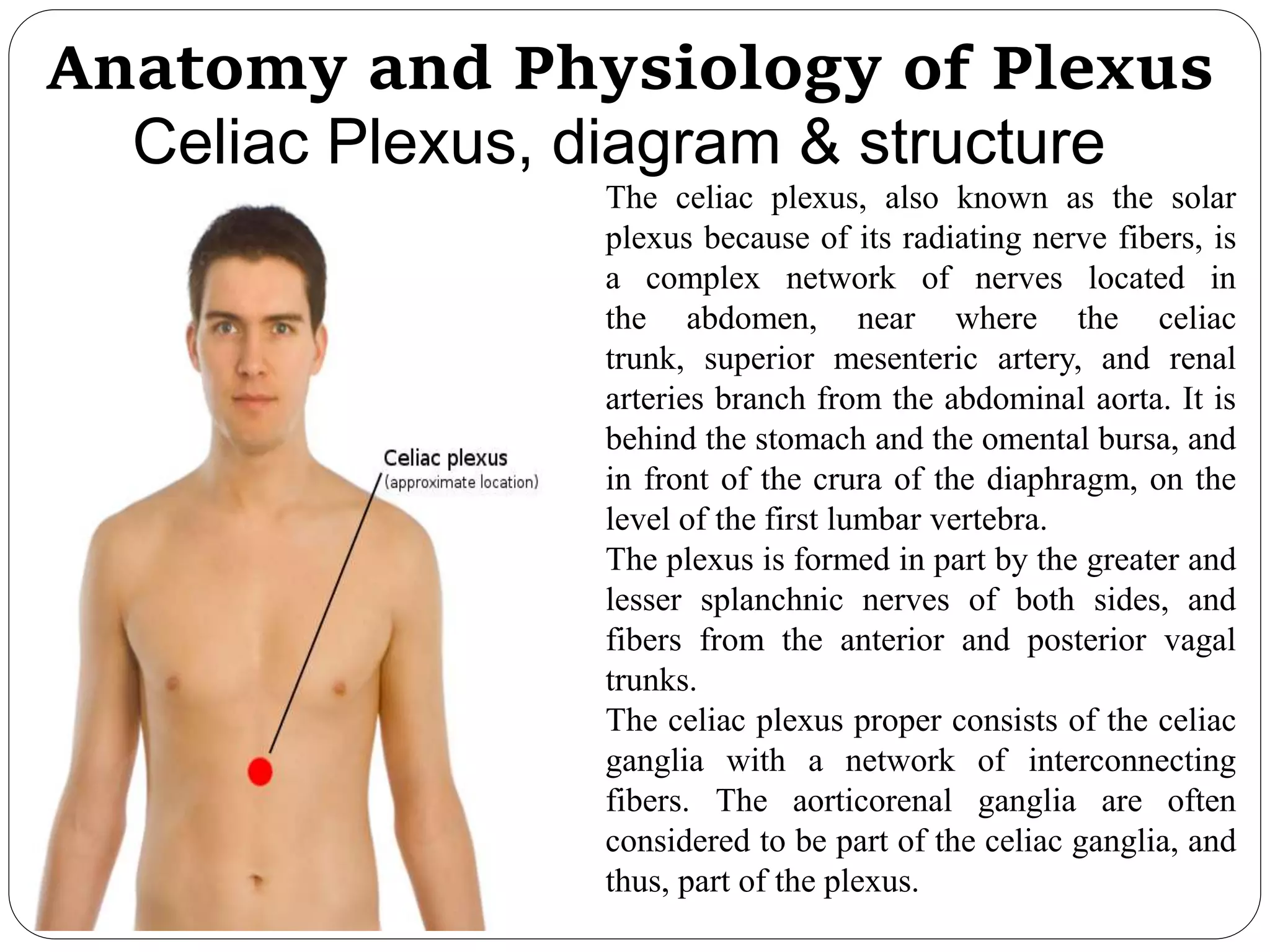 Platon_H_Dx Presentation.pptx