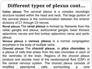 Platon_H_Dx Presentation.pptx