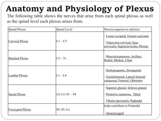 Platon_H_Dx Presentation.pptx