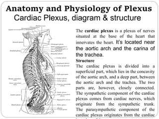 Platon_H_Dx Presentation.pptx