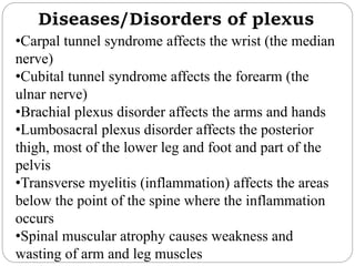 Platon_H_Dx Presentation.pptx