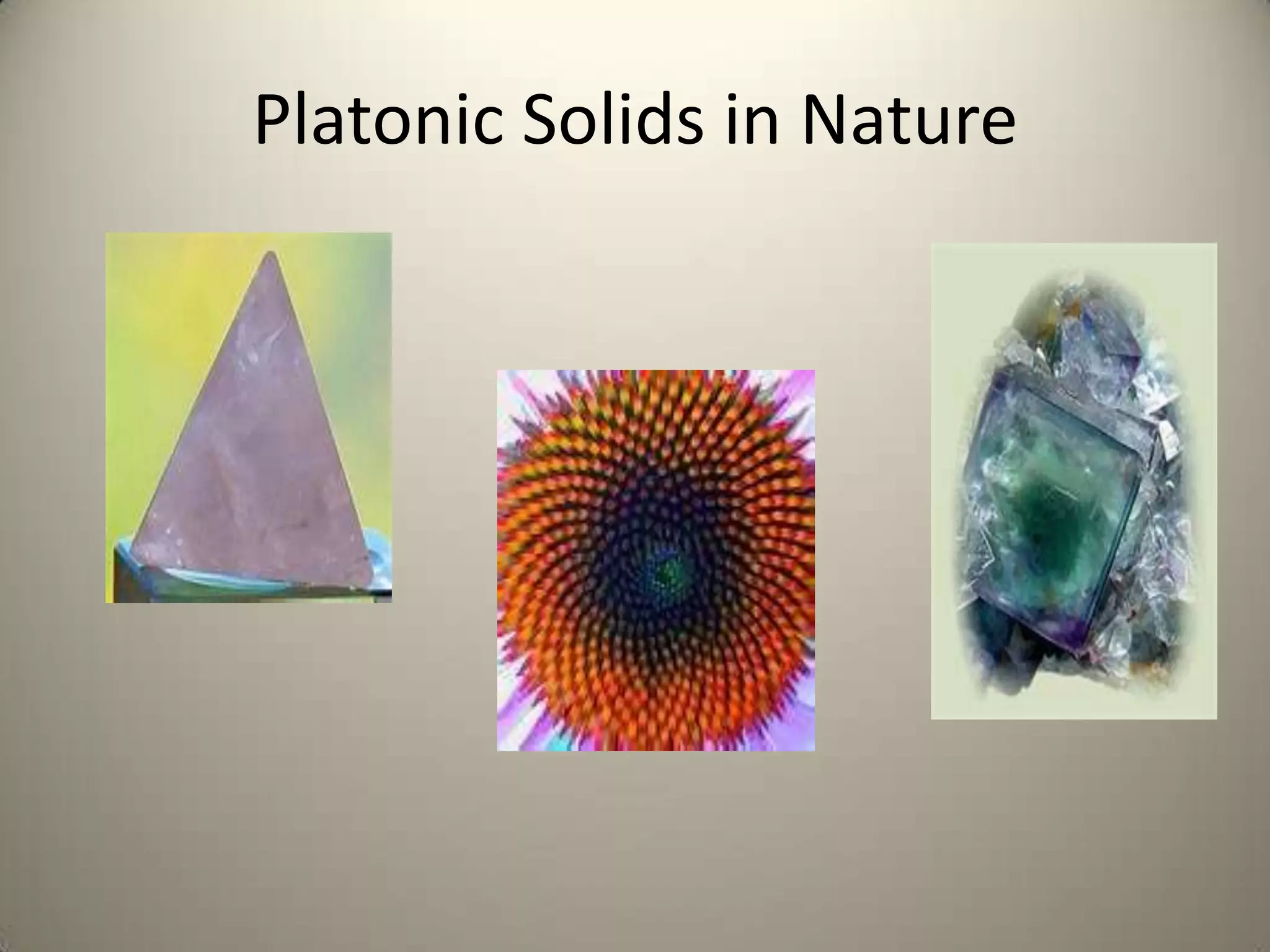 Platonic solids in nature | PPTX