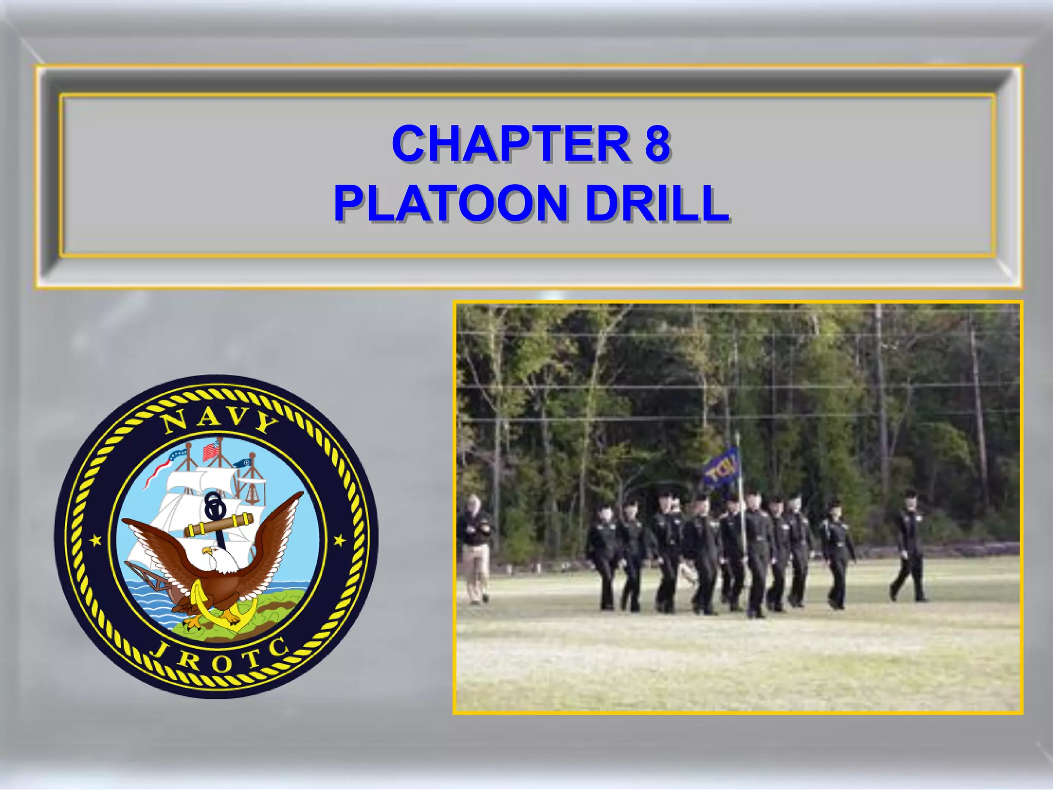 Platoon Drill | PDF
