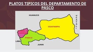 PLATOS TIPICOS DEL DEPARTAMENTO DE PASCO.pptx