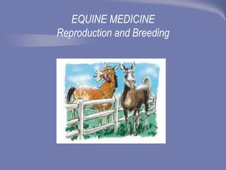 Reproduction & Breeding | PPT